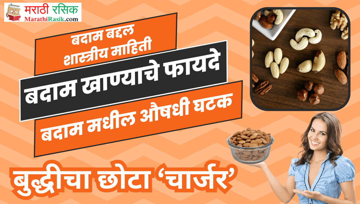 Healthy Badam Baddal Mahiti | बदाम बद्दल माहिती | 5+ Bdamache Prakar ...